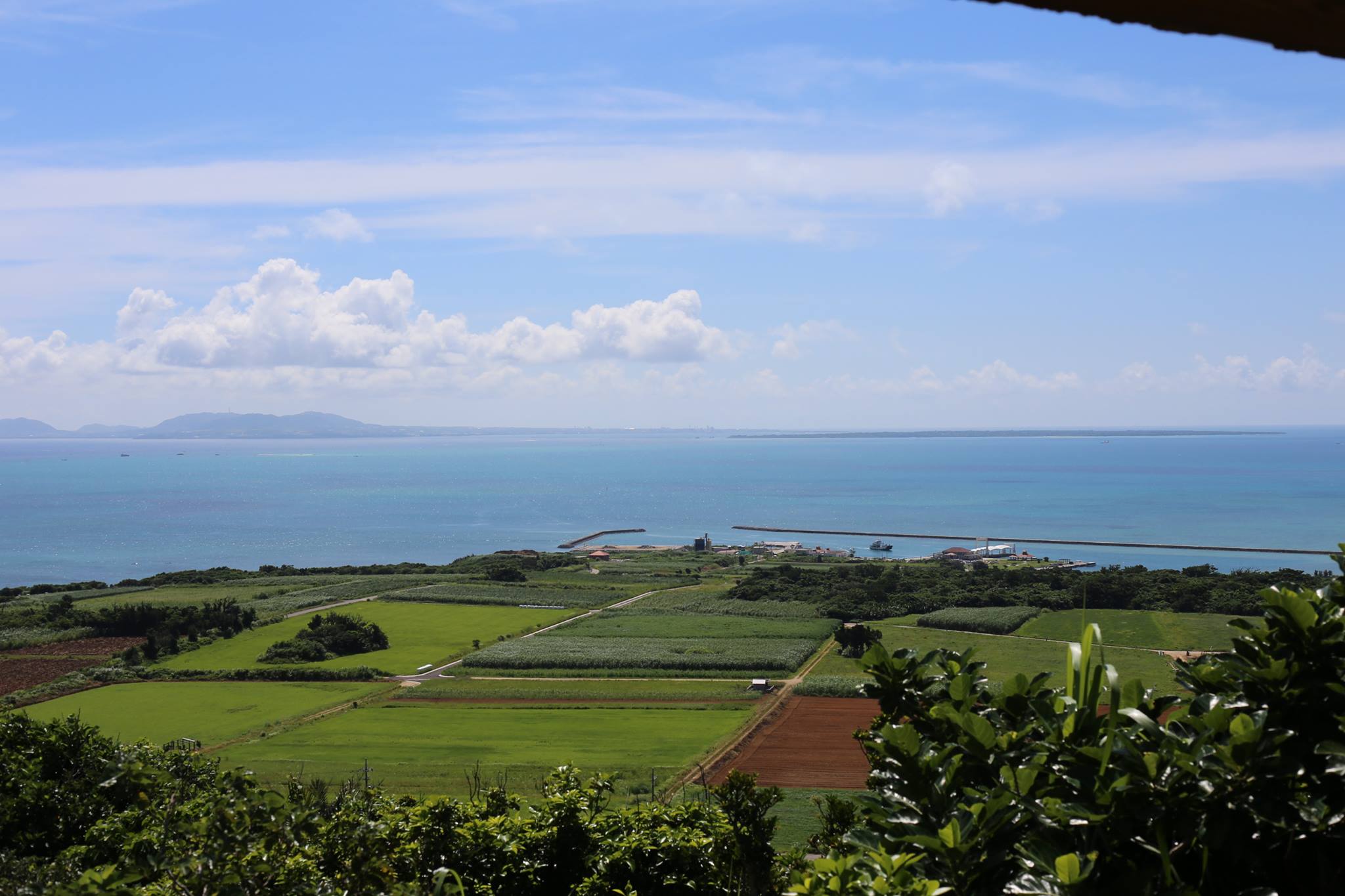 2016年12月12日 今日の小さいふ。ブルースペクトル | 小さい財布の小さいふ。クアトロガッツ 公式Webshop